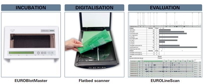 Diagnostico de alergia